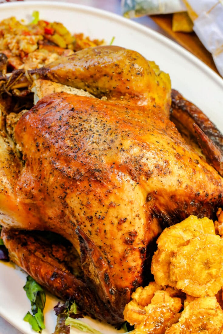 Pavochon (Puerto Rican Turkey Recipe) | Latina Mom Meals